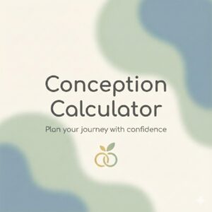Pregnancy Due Date Calculator With Timeline And Trimester Tracker